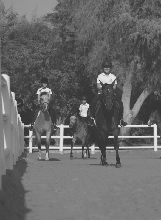 The Royal Stables - Abu Dhabi