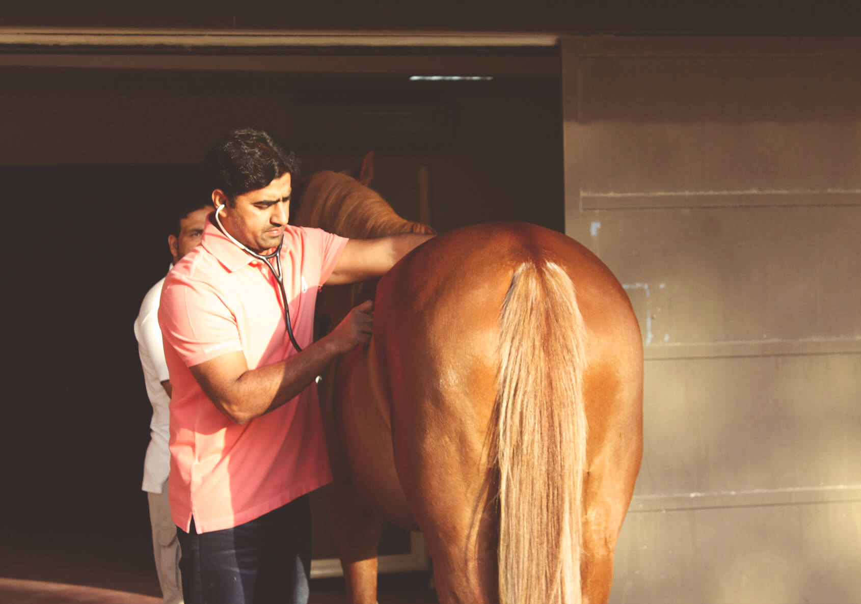 The Royal Stables - Abu Dhabi