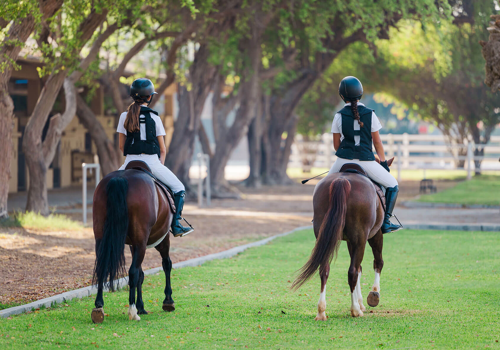 The Royal Stables - Abu Dhabi