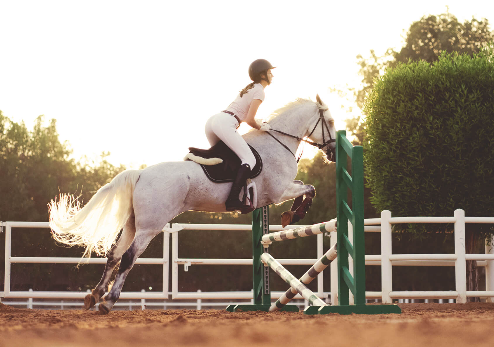 The Royal Stables - Abu Dhabi