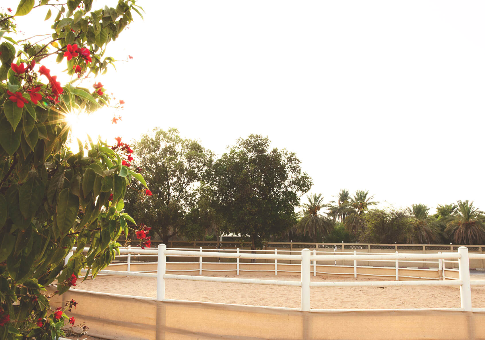 The Royal Stables - Abu Dhabi