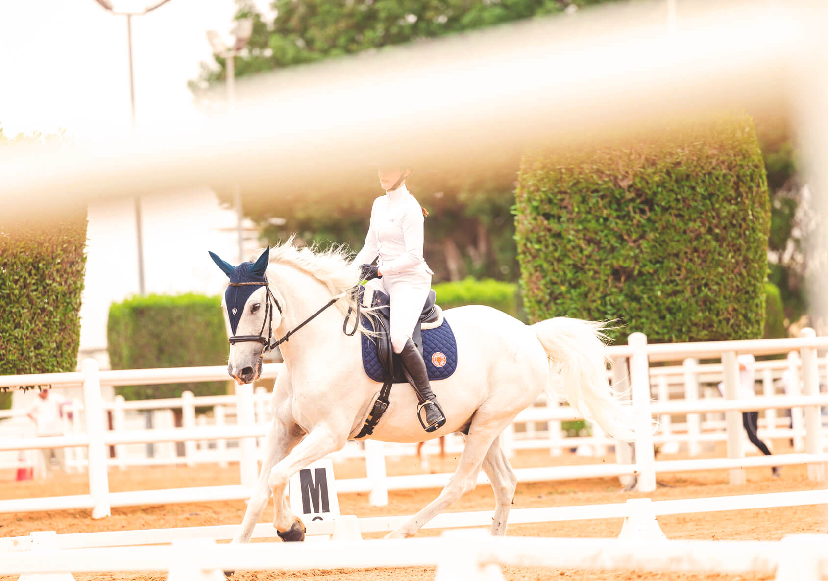 The Royal Stables - Abu Dhabi