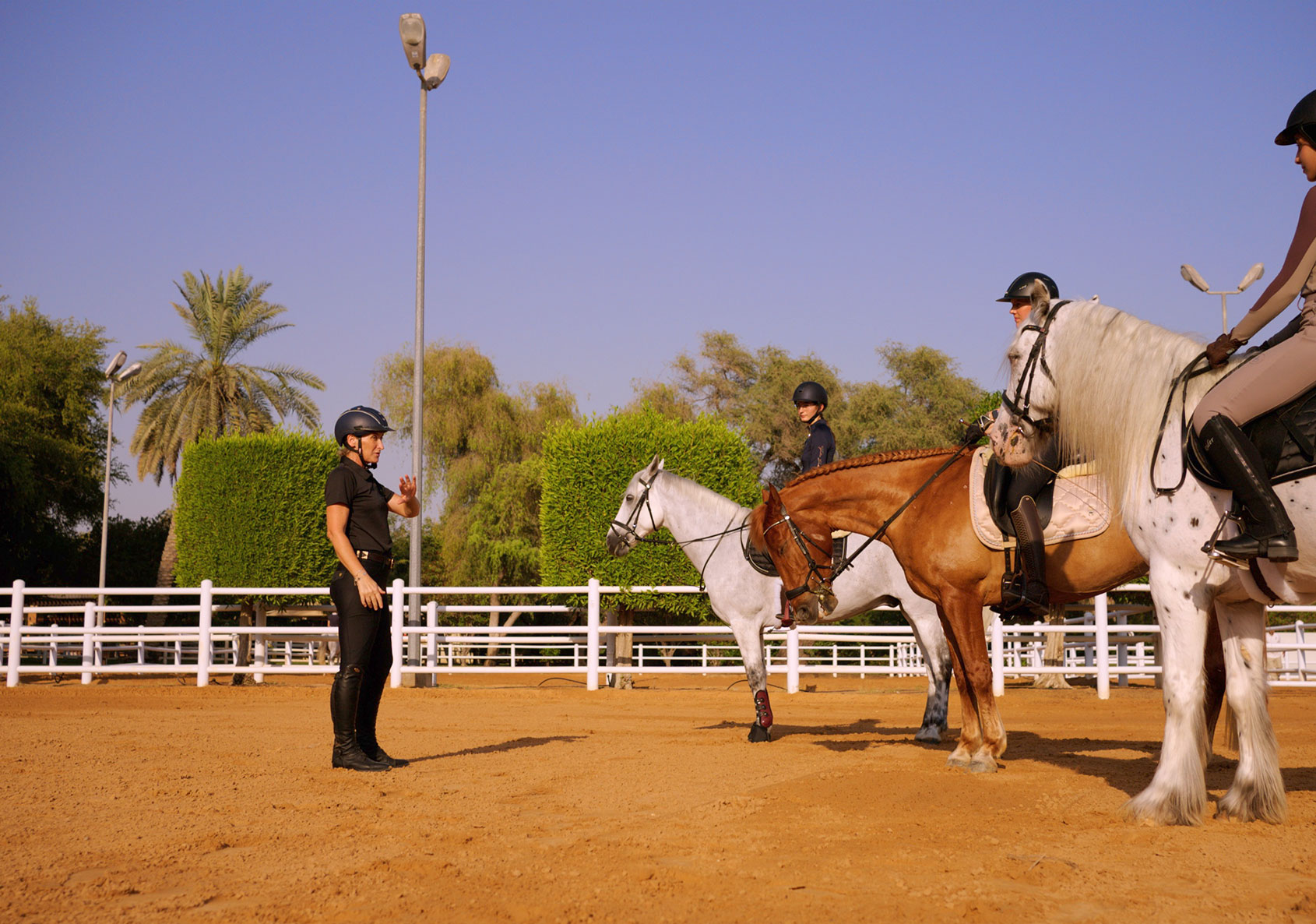 The Royal Stables - Abu Dhabi