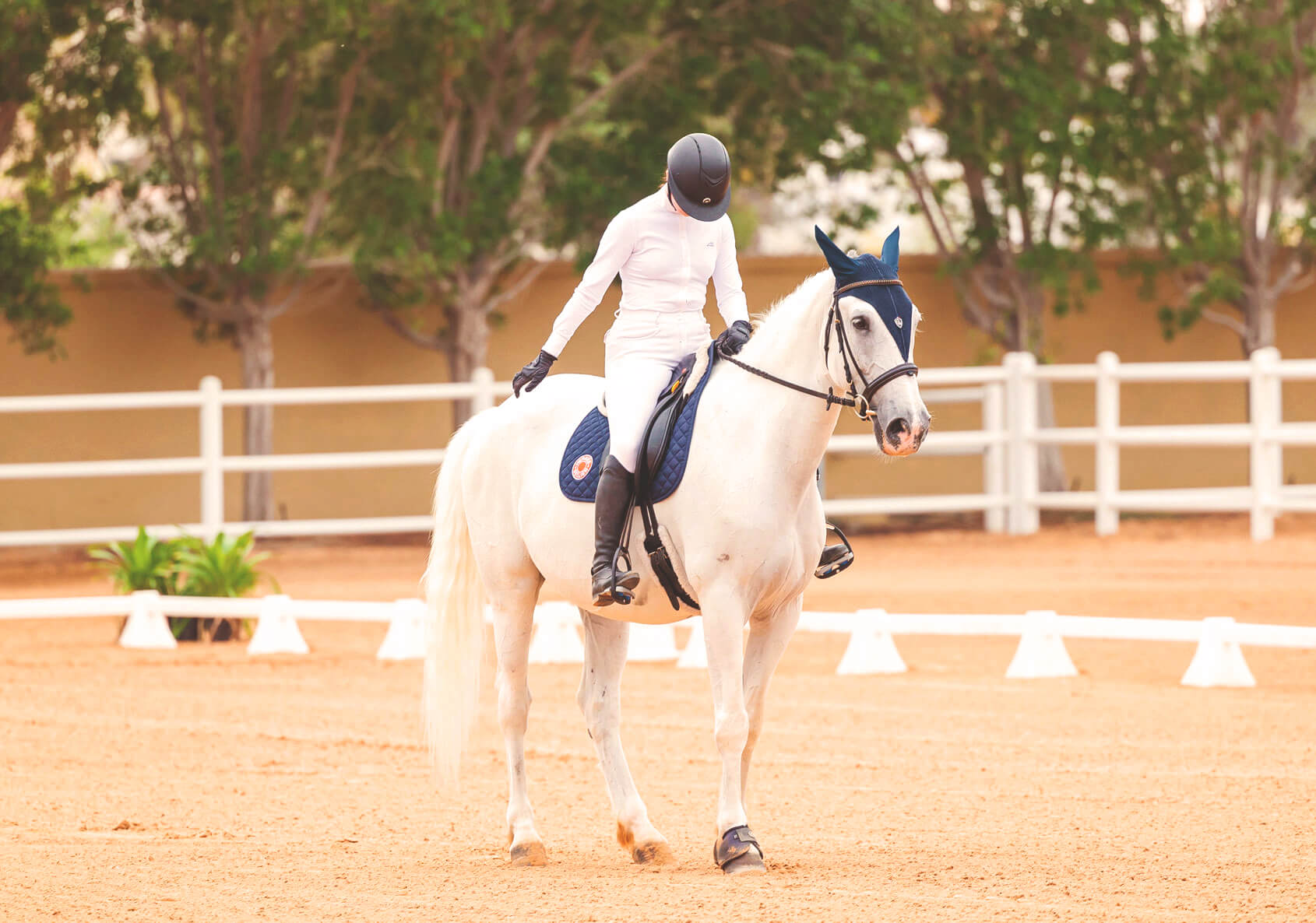 The Royal Stables - Abu Dhabi