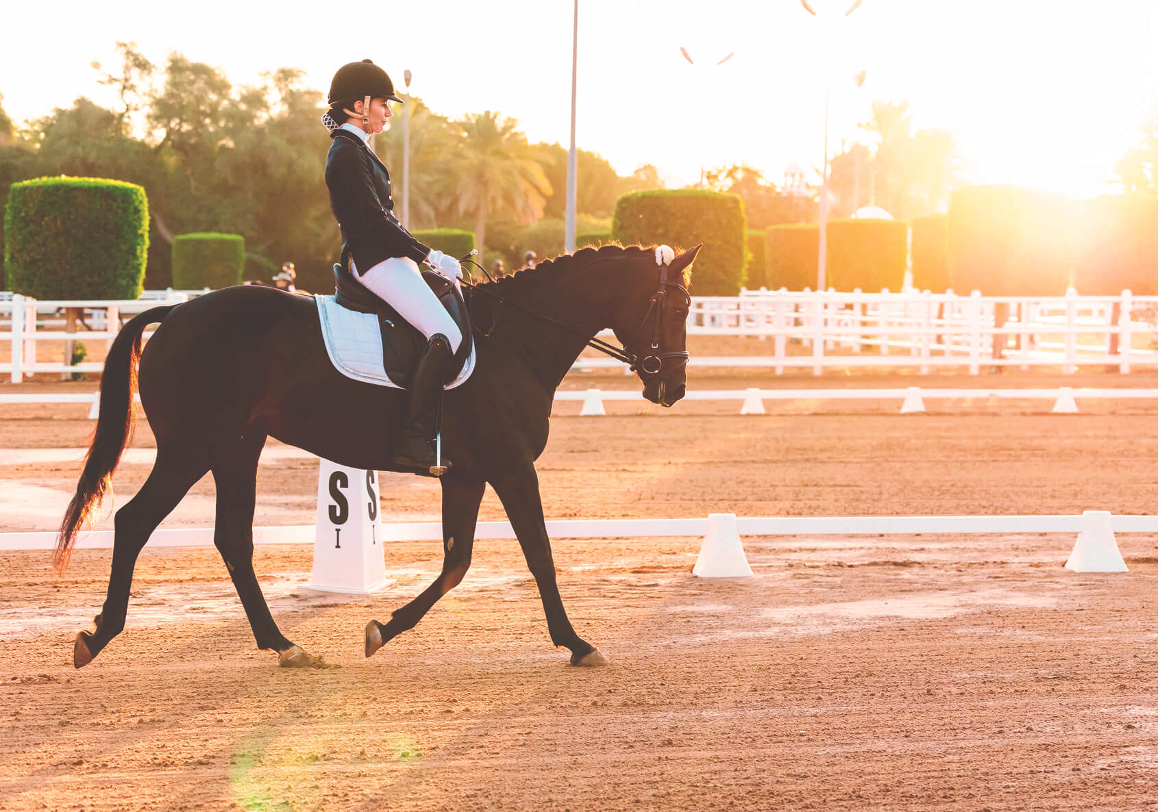 The Royal Stables - Abu Dhabi
